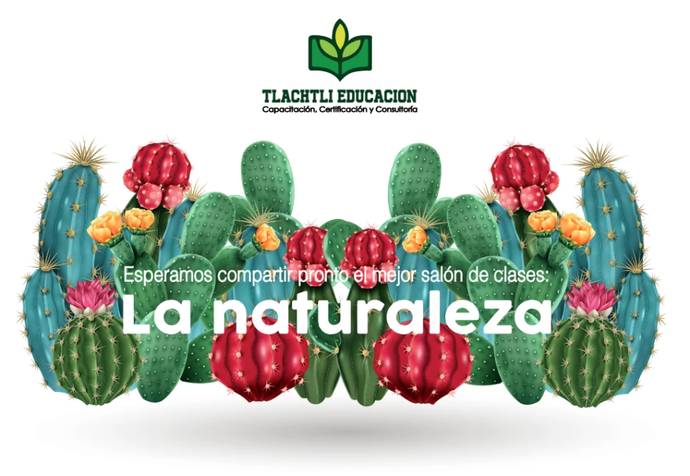 Educación – Organización Tlachtli